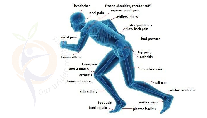 About Us – Orange Physiocare